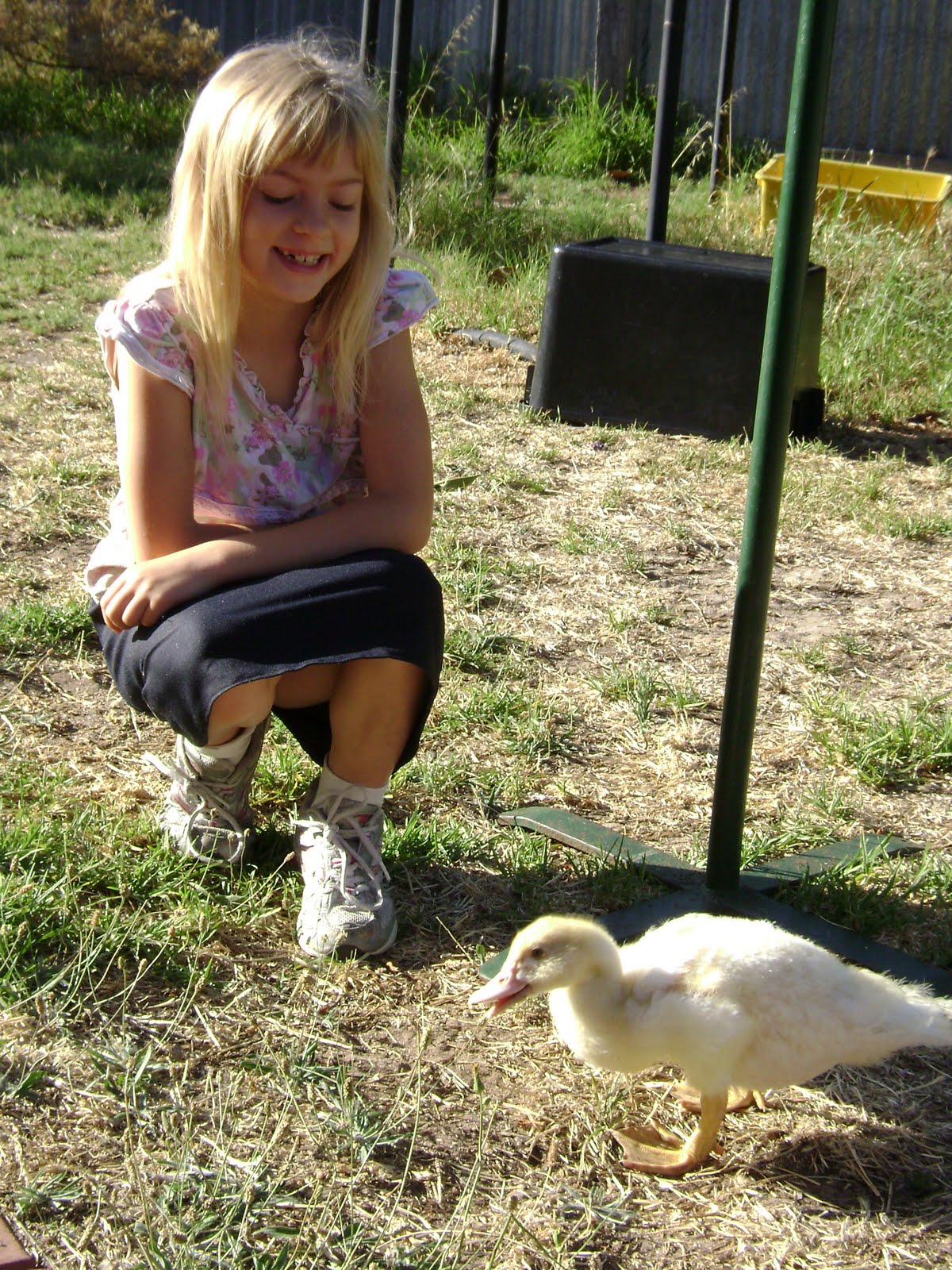 Learning in the Box: The Story about Ping