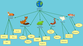 small steps: WEEK 1 - Concept mapping