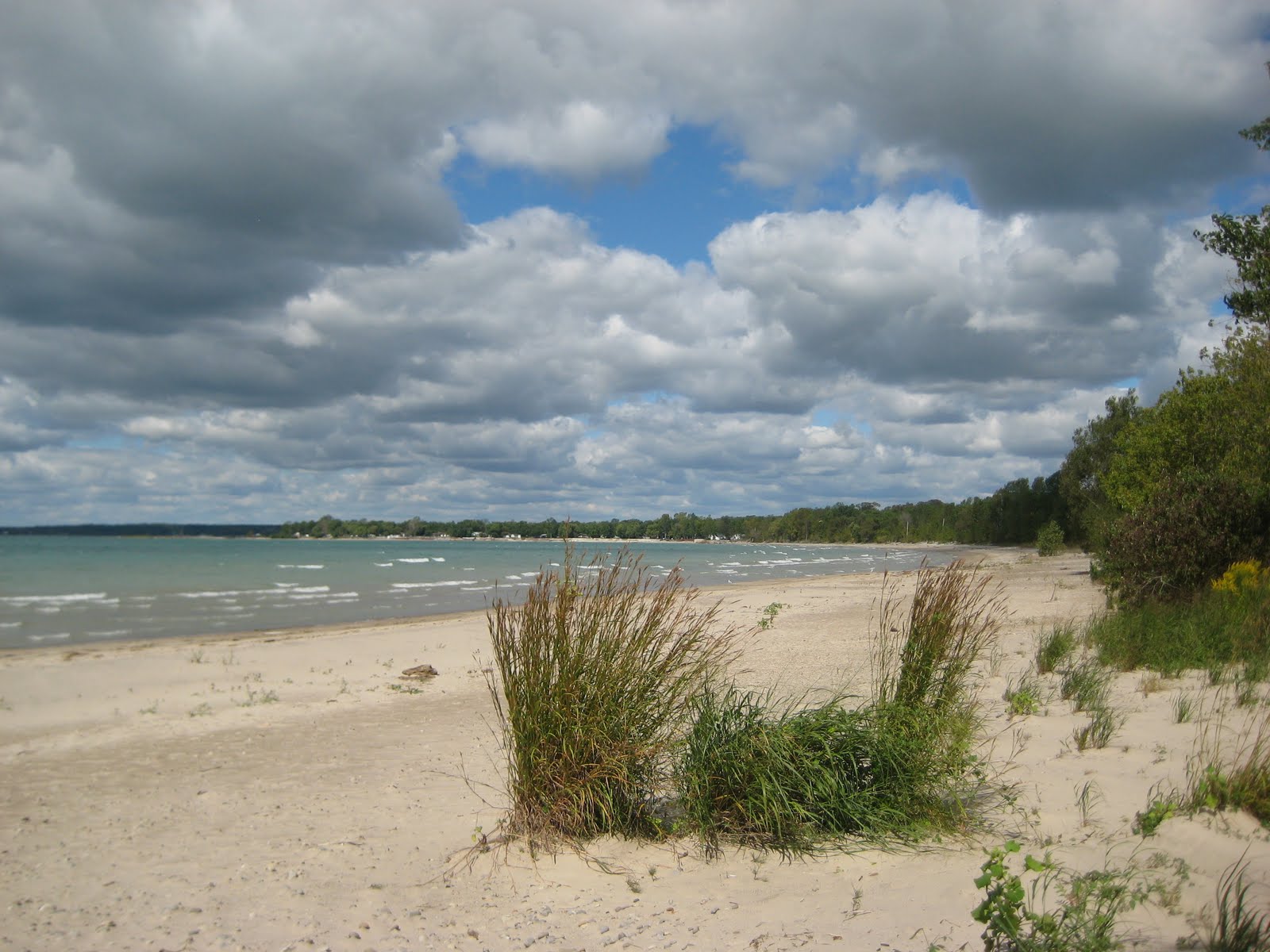 The Neat Little Bookshop: James N. Allan Provincial Park ~ Myrnam Beach