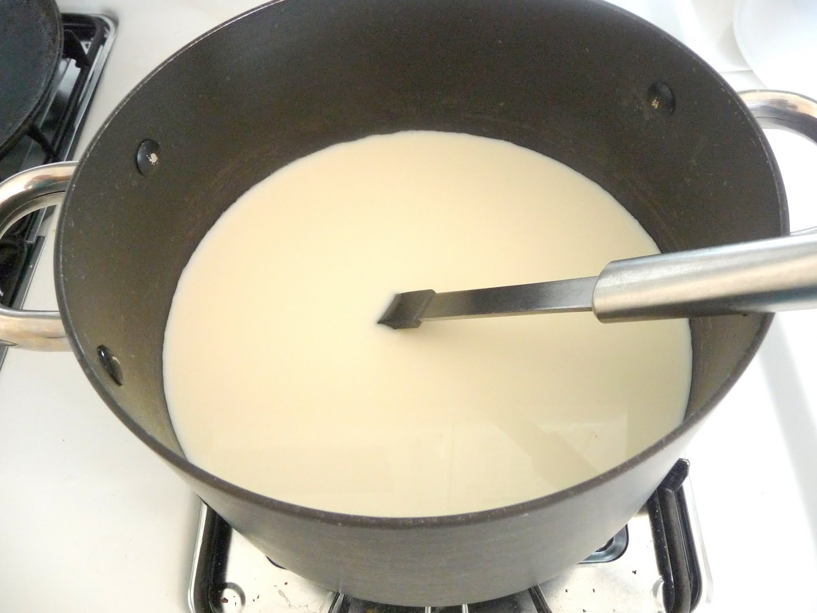 Dil Se..: Homemade Paneer