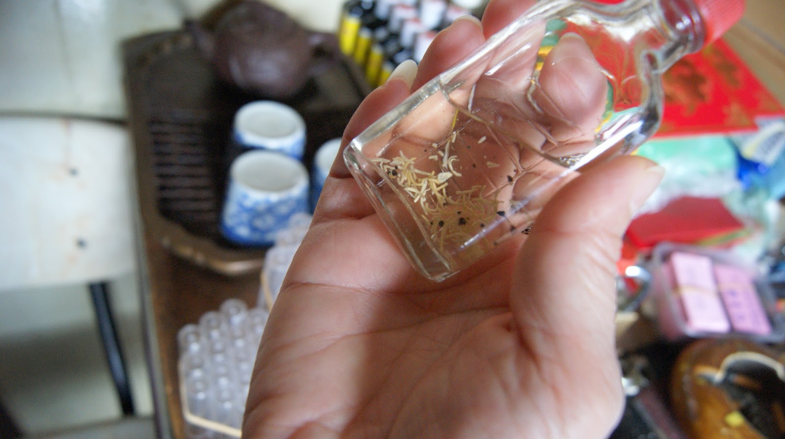 BIGFOOTHILL: A Traditional Chinese Medical Treatment for Nasal Health ...