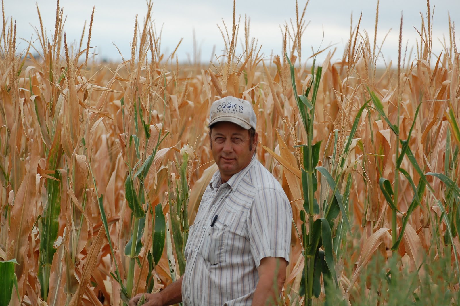 Double D Family Mat Shop