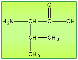 Capsulas Informativas: Leucina