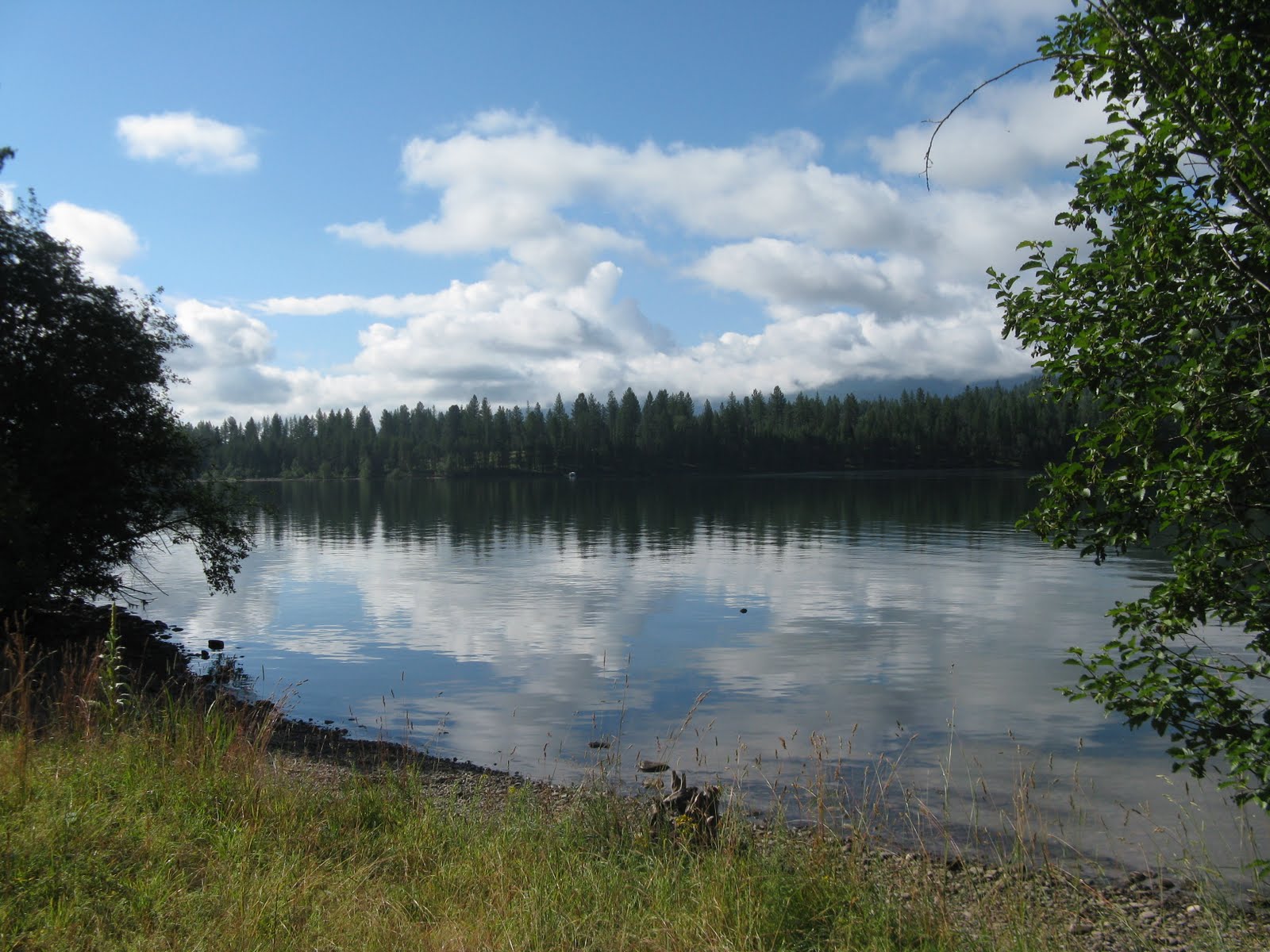 Tarra's Travels: Trout Creek & Thompson Falls, Mt.