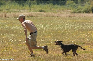 IF ONLY THEY COULD TALK!