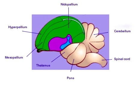 IF ONLY THEY COULD TALK!