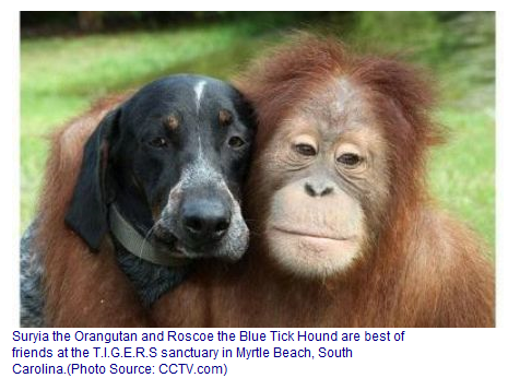 IF ONLY THEY COULD TALK!