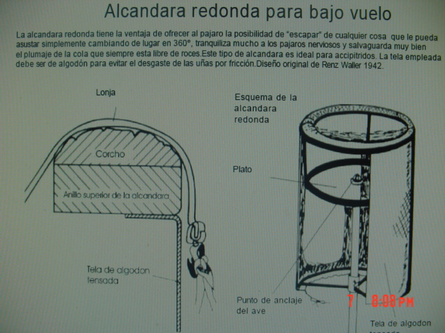 Cantos das Aves tudo sobre aves