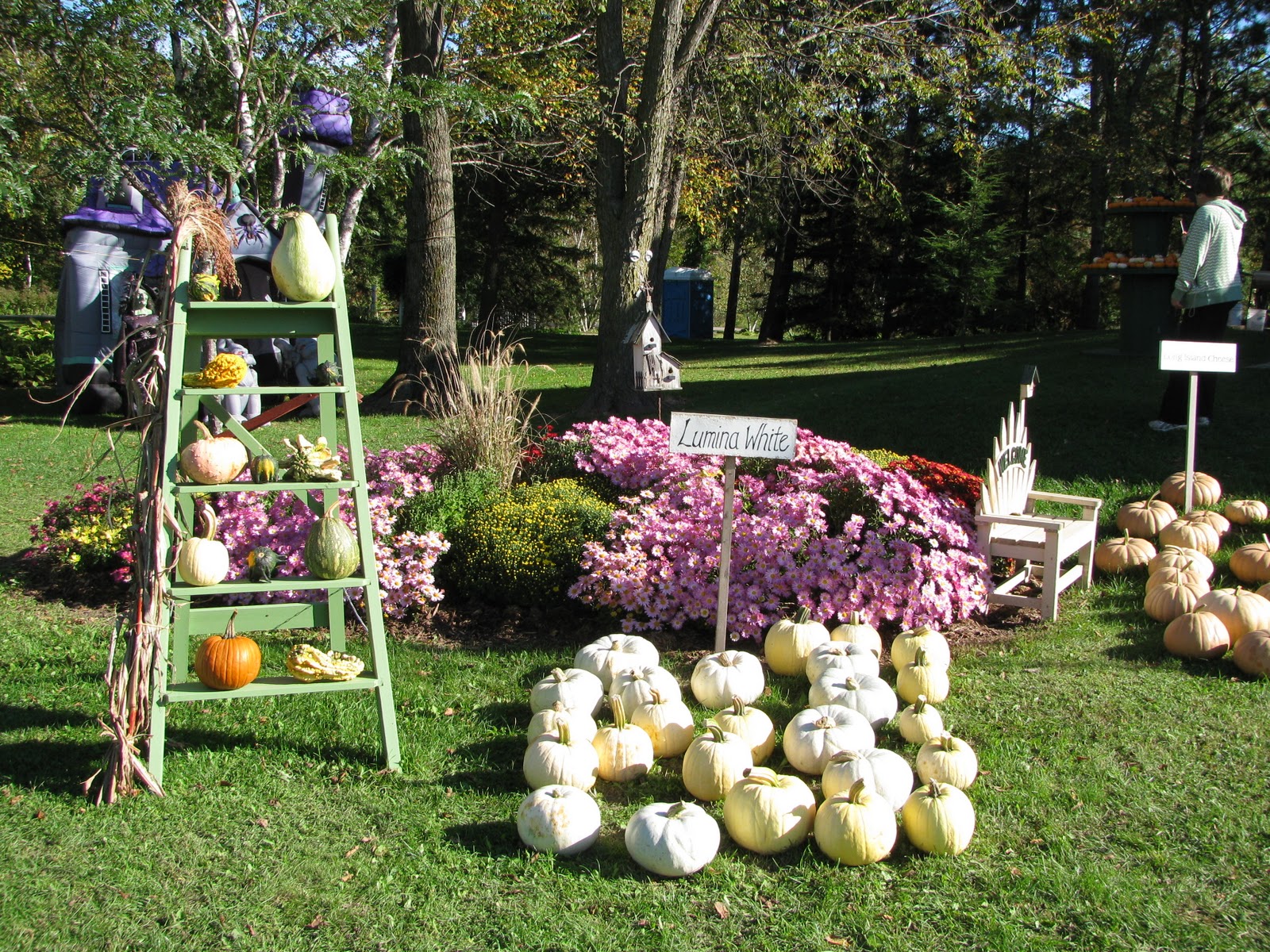 Applestone Cottage: A Pumpkin Patching we will go and a little Autumn ...