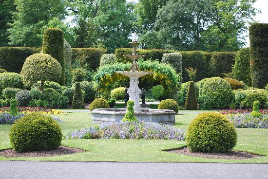 Reynolds Still: That's Alot Of Bush!