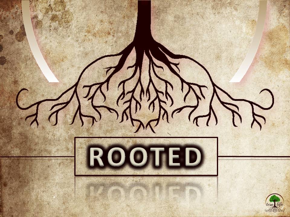 True Life Passages: New Sermon Series - "Rooted"