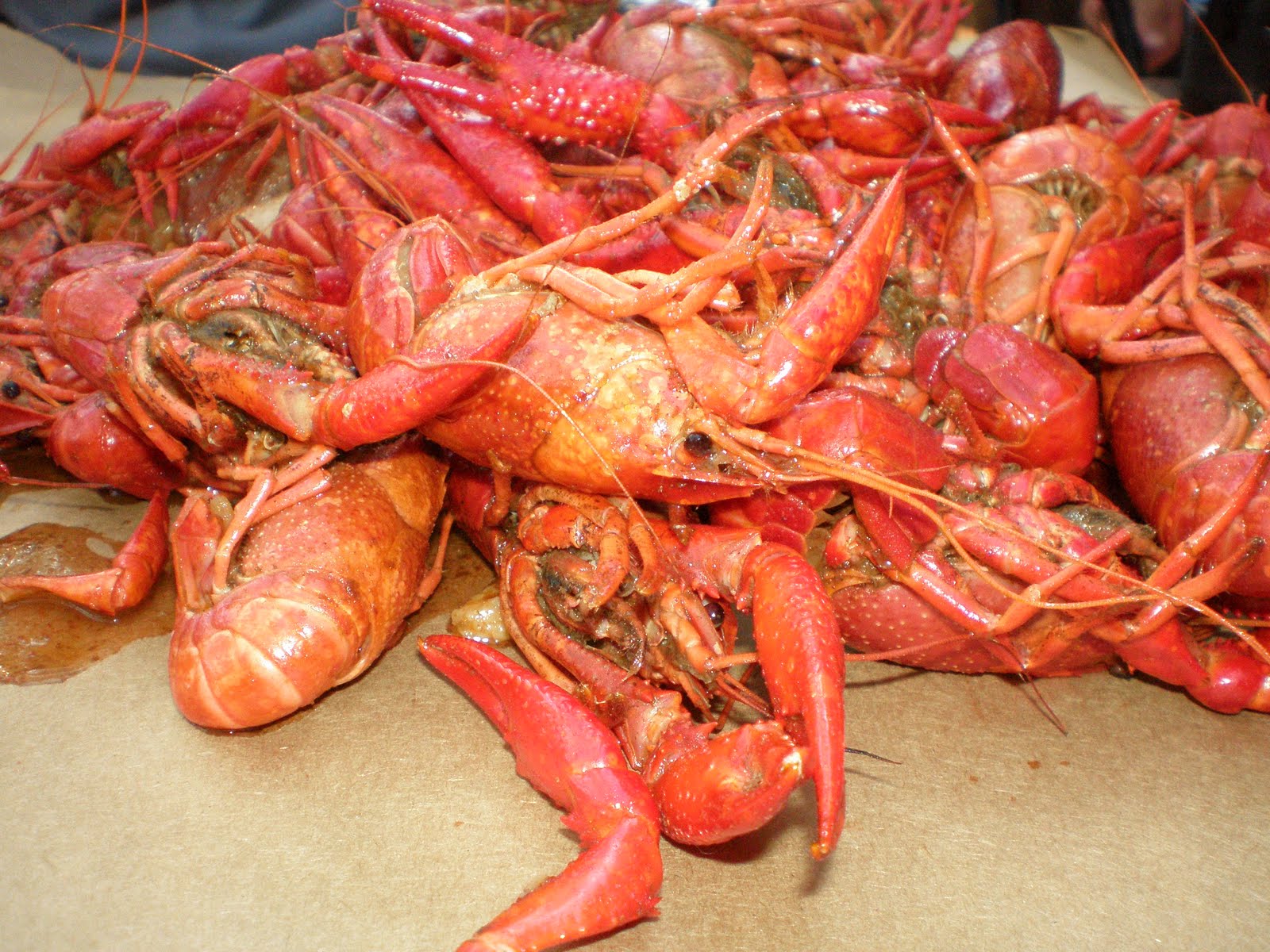 Festive Festival Festivities: #25 Rib America/Crawfish Boil - St. Louis ...