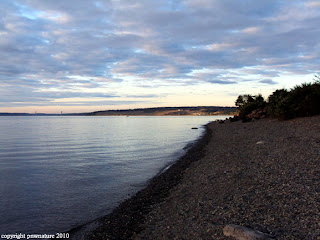 Saltar's Point Beach (Gordon Point)