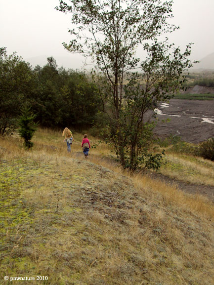 Hummocks Trail at Mount St. Helens National Volcanic Monument