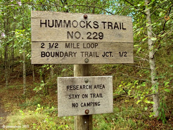 Hummocks Trail at Mount St. Helens National Volcanic Monument