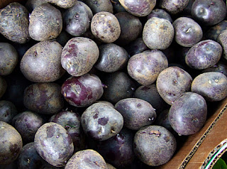 ag.gray.gate: Magnificent Magenta...