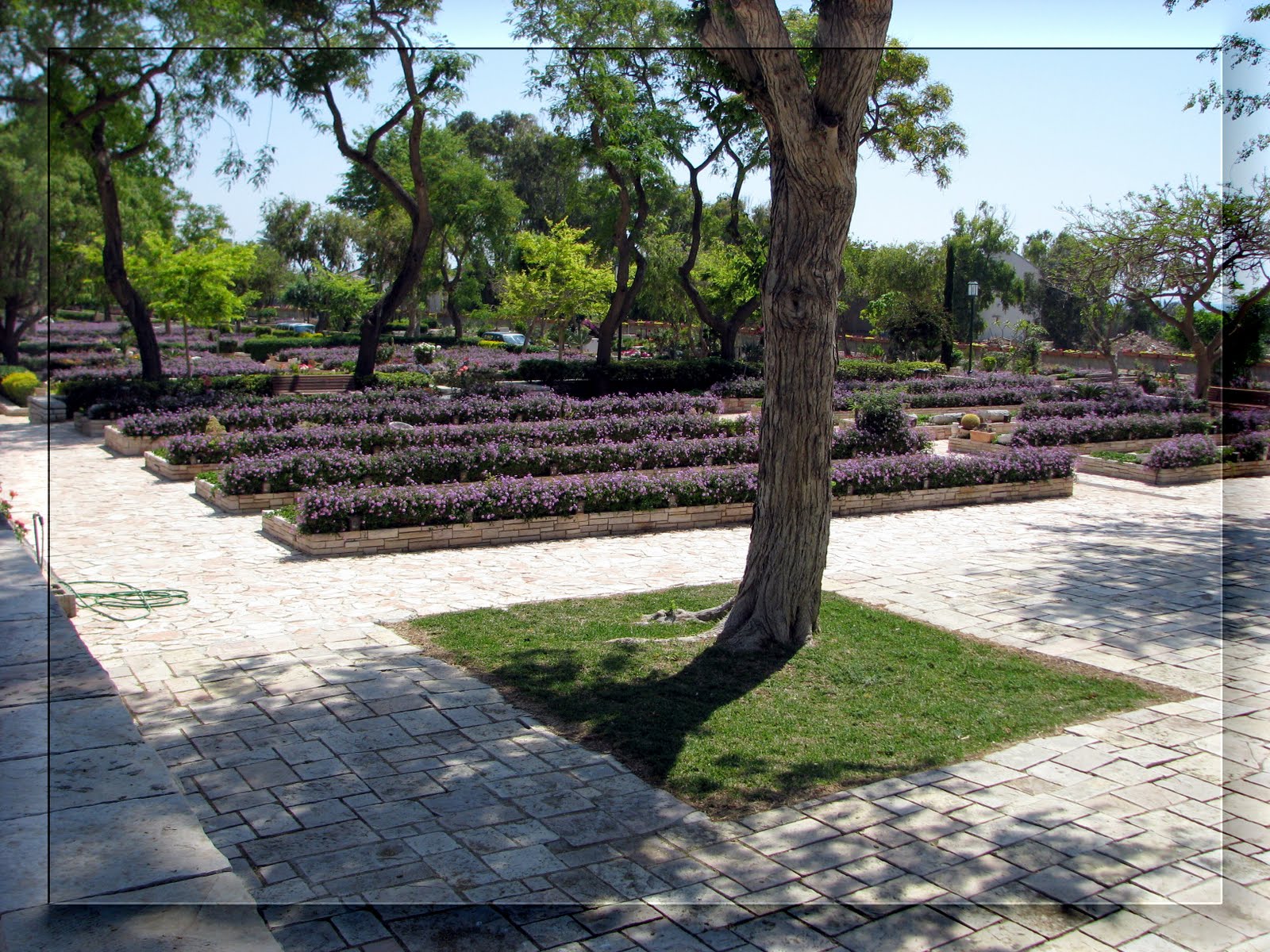 Messianic Moments: Report from Israel #11 - The Memorial Service