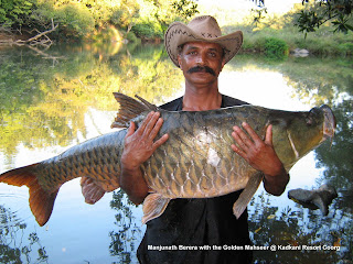Mahseer @ Coorg: Mahseer chooses a serene stretch of Cauvery along ...