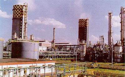 Archit Aggarwal: National fertilizers Ltd