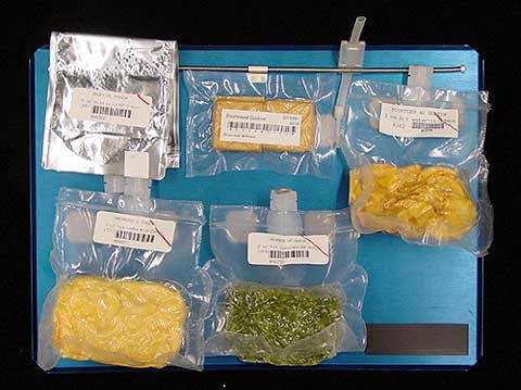 Lounge Pictures: Food and drink The Astronaut