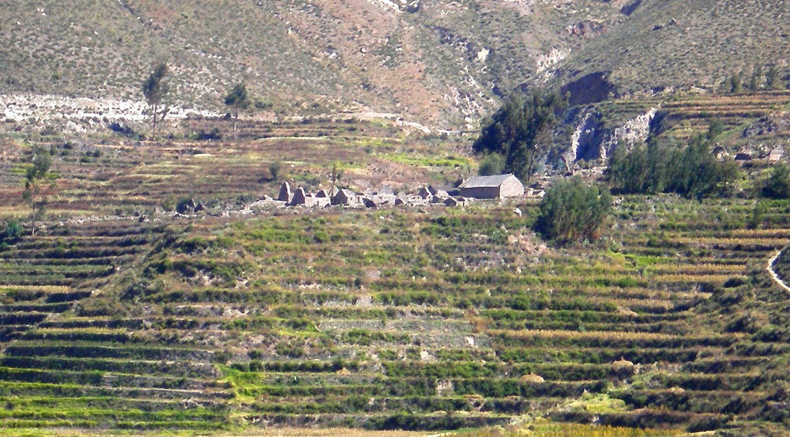 MIS FOTOS FAVORITAS: CONOCIENDO UYU UYU