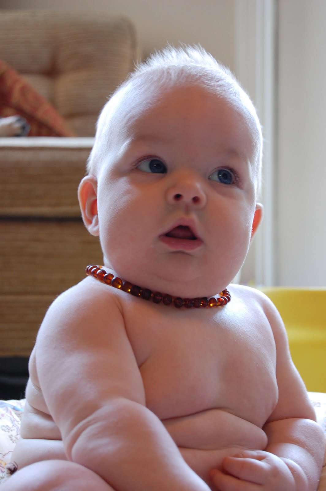 Colebirds Chubby Baby Wears