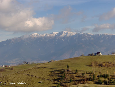 Alice Photo: Satul Pestera - comuna Moeciu