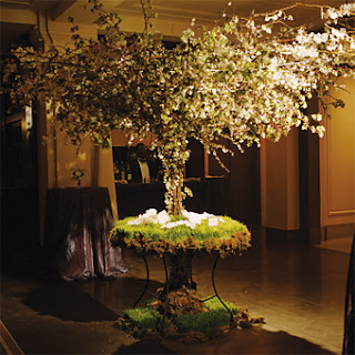 R&R's Wedding Planning: If we can't get the beautiful tree look below..