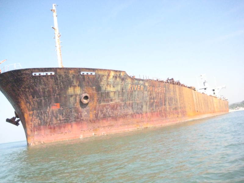 Niz Goenkar: BEGIN RIVER PRINCES REMOVAL WORK WITHIN TWO MONTHS: HC