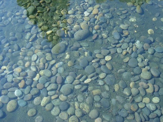 Take Aim: Beauty Through Photo