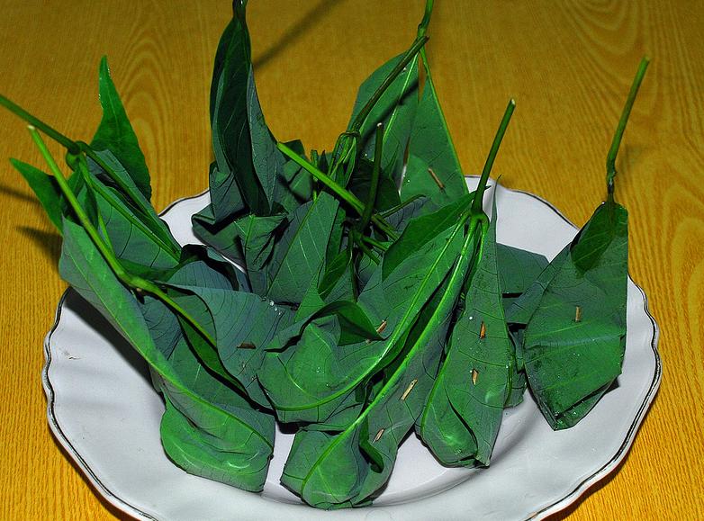 Tapai Pulut Daun Getah | Travel Guide & Makan² Guide