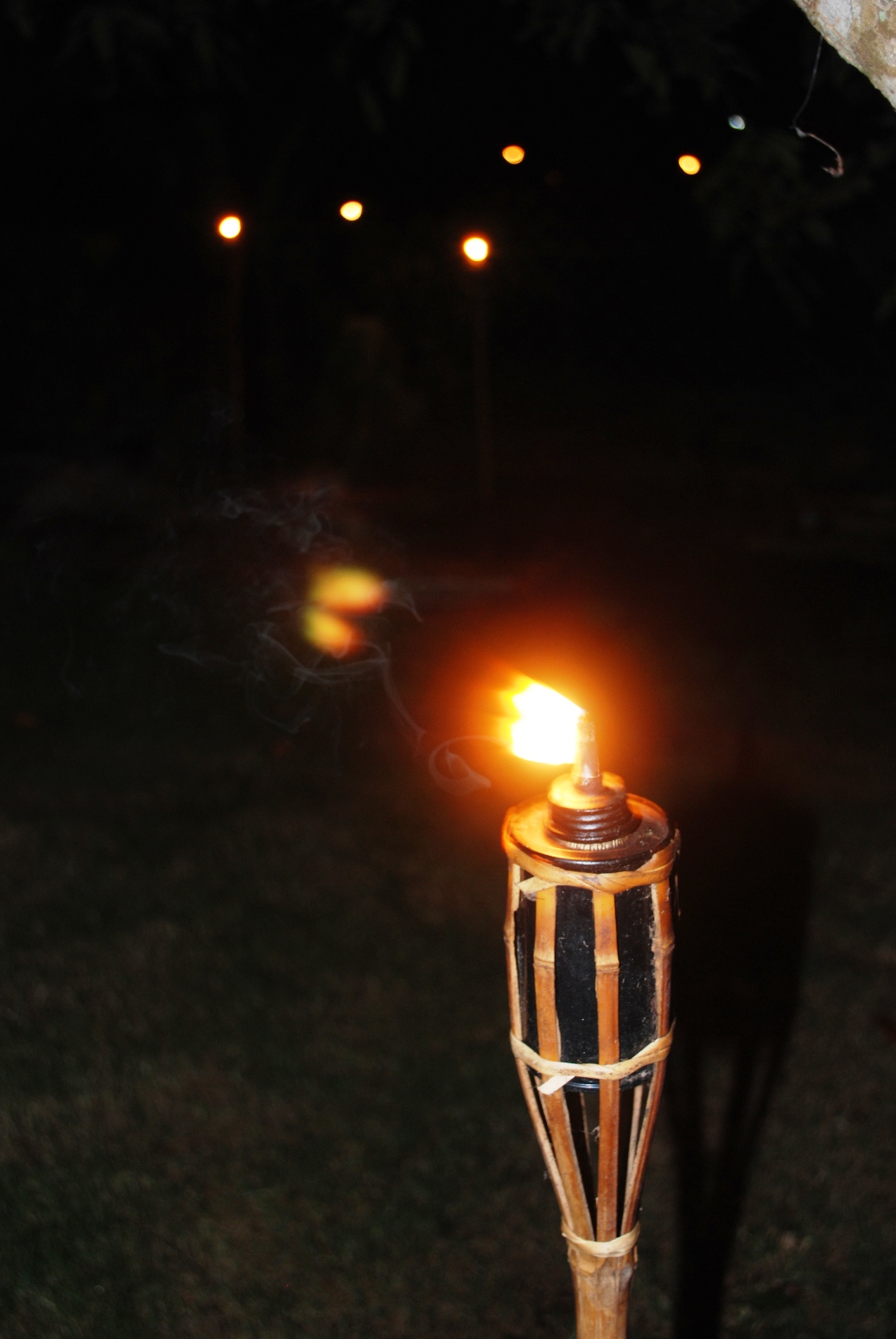 Pertandingan Pelita Raya 2010 | Travel Guide & Makan² Guide