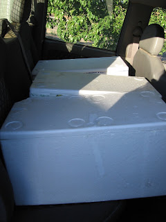 Timeless Oasis Garden: Wicking Boxes