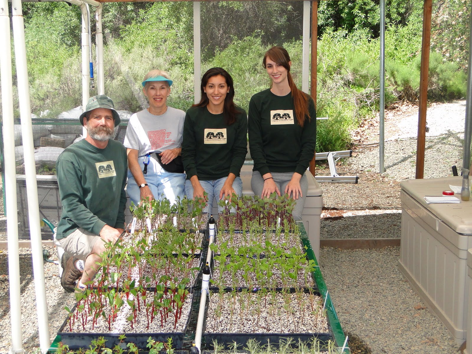 The Nursery at Willow: Plant Propagation: Vegetative #4