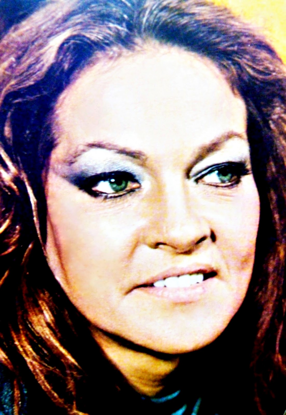 Maysa Monjardim Oficial: O Álbum de Maysa: Em Cores