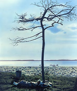 کتابخانه نیما: دانلود فیلم ایثار sacrifice tarkovsky