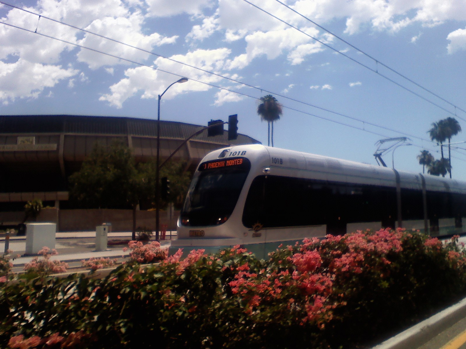 All About Tempe AZ: Public Transportation in Tempe, AZ and Around ASU