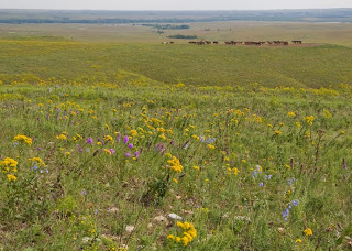 Frank Thompson's Kansas Journeys: Teter Rock