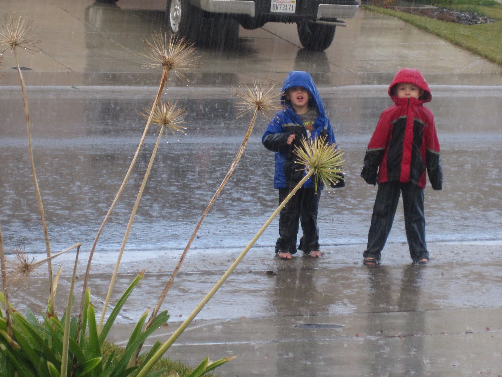 Enjoying Life With 4 Kids: Singing in the Rain