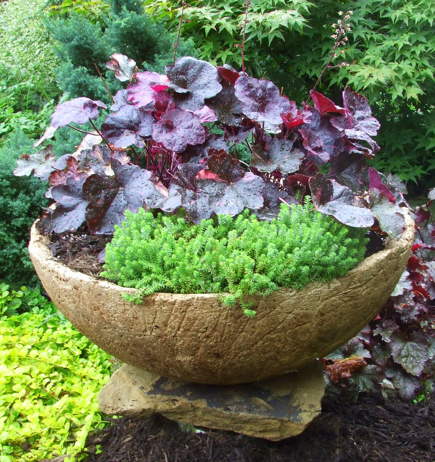 Garden Design Ideas: Hypertufa Class