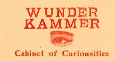 Wunderkammer Cabinet
