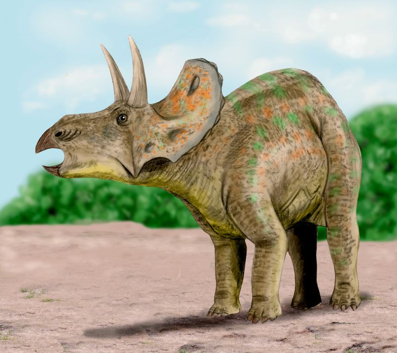 The Open Source Paleontologist: Nedoceratops - A Full Description at Last