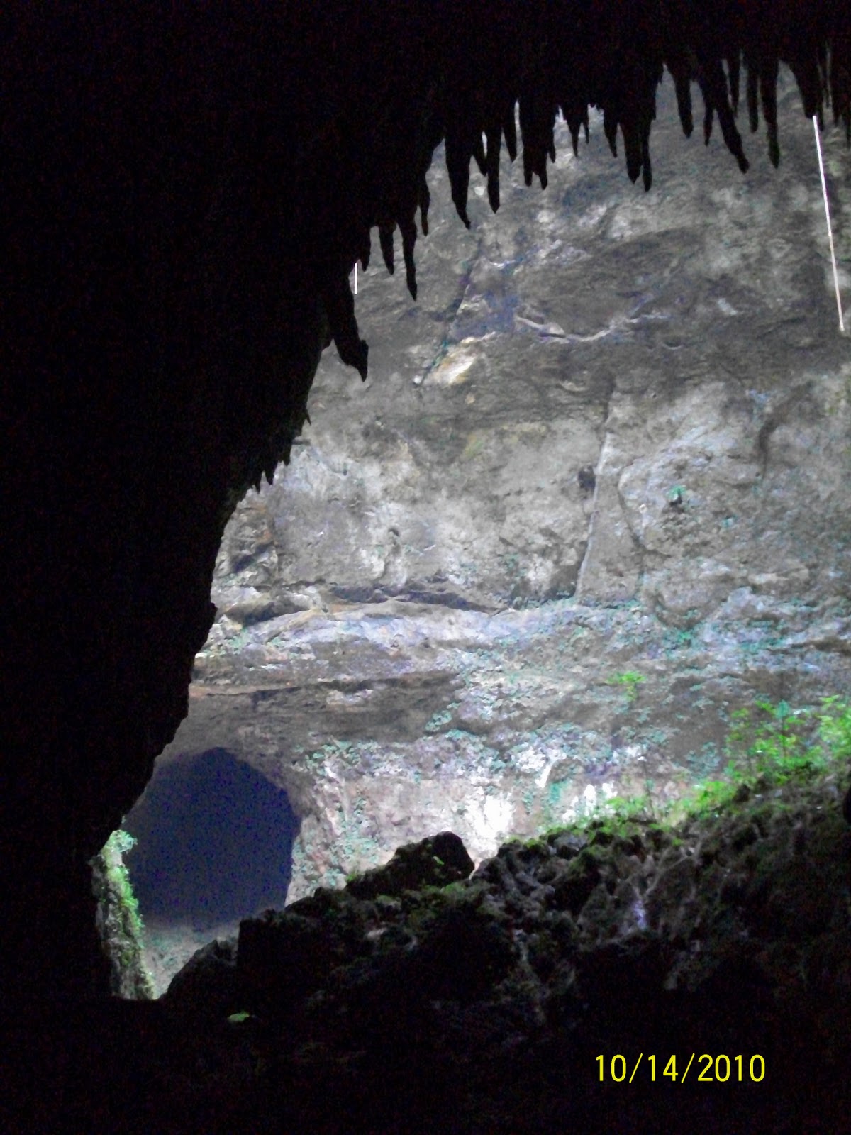 Puerto Rico: Las Cuevas de Camuy