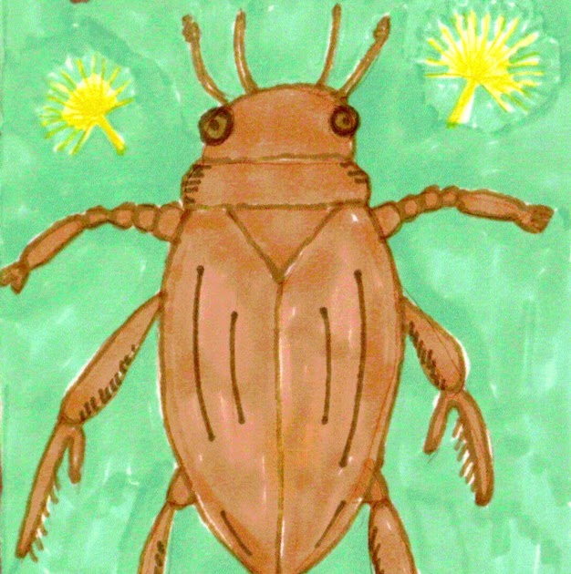 Kendra's Notebook: Why did God create ugly things?