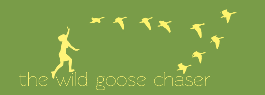 the wild goose chaser