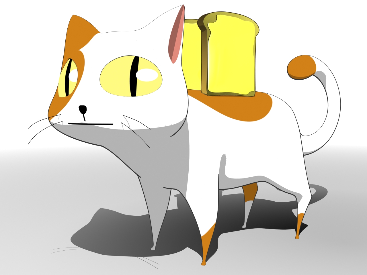 DIMA's Blog: Toast Cat