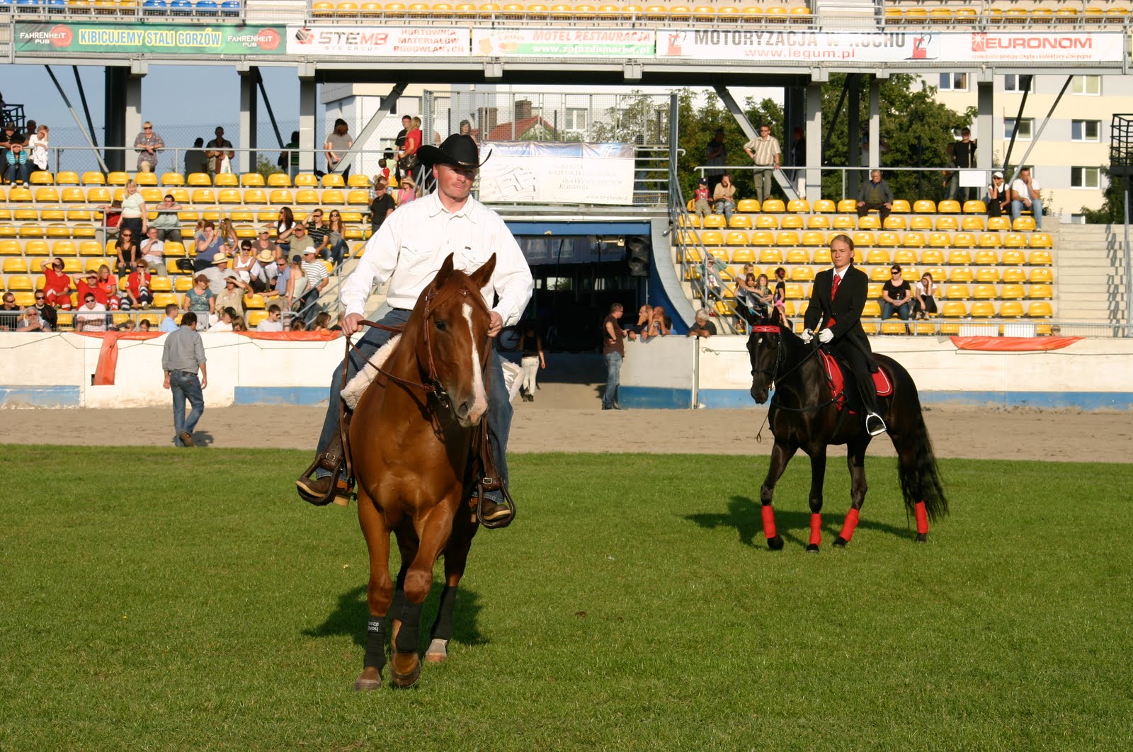 Tennessee Walking Horse DKF-Farm: Dzien Konia Gorzow Wlkp.