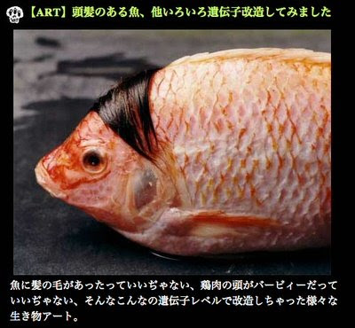 The Blobfish welcomes you