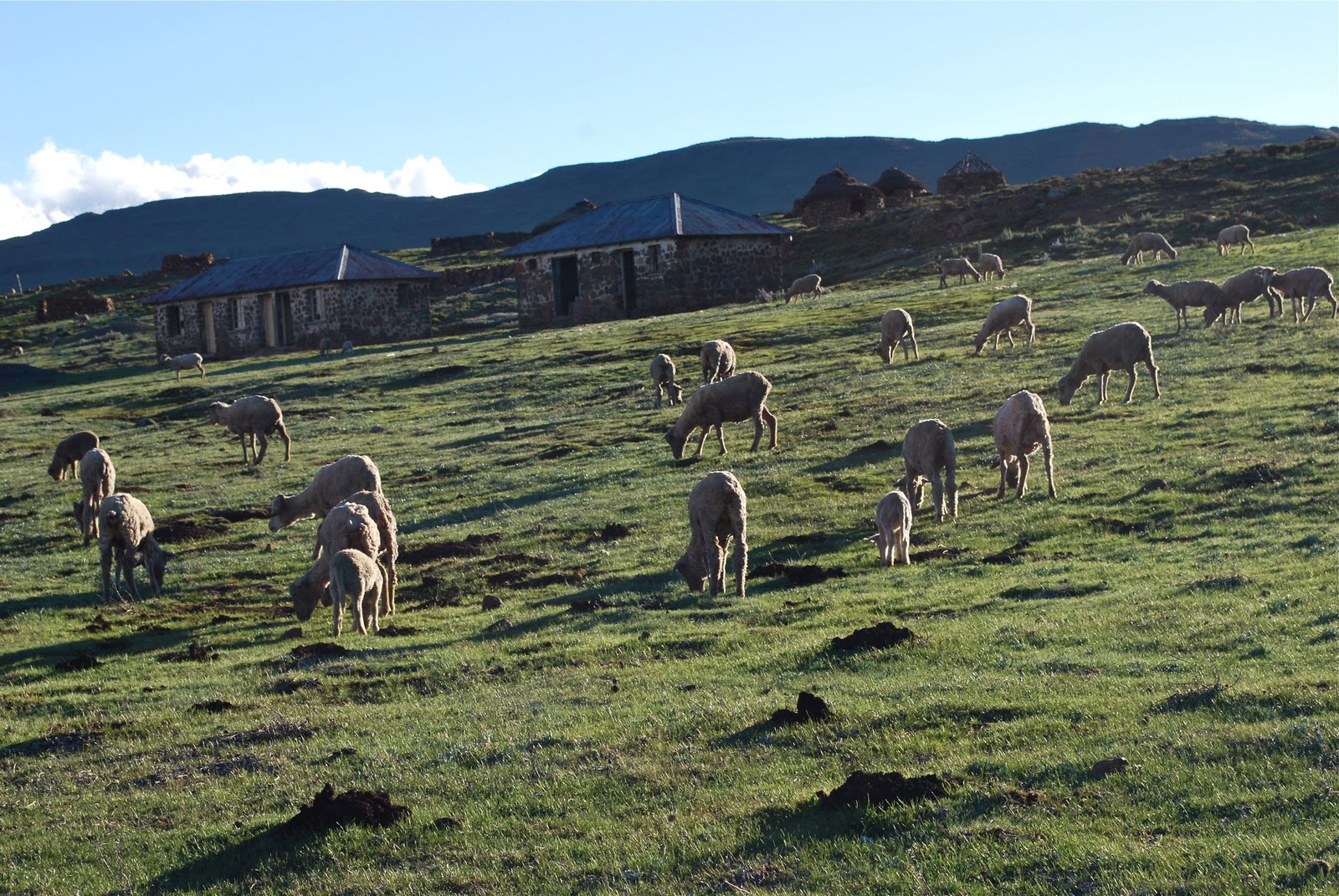 Grand Adventures: Watching Sheep and Towers in Lesotho