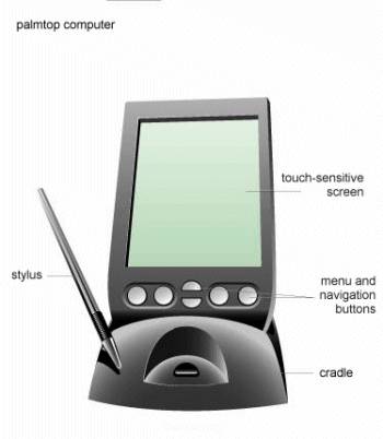 natural sceenaries: The latest Technology of Palmtop